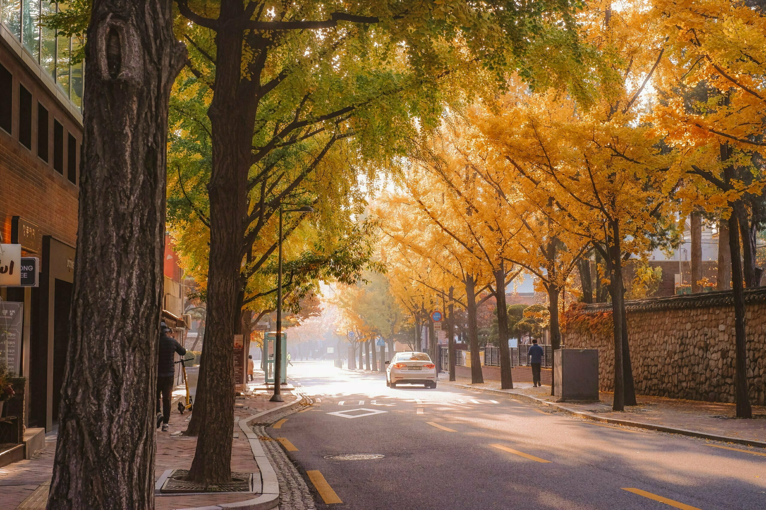A Walk Along Jeongdonggil During Full Autumn Swing
