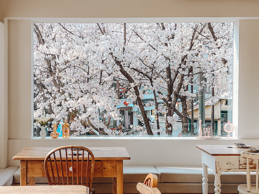Dear Moment: The Prettiest Seoul Café in Spring