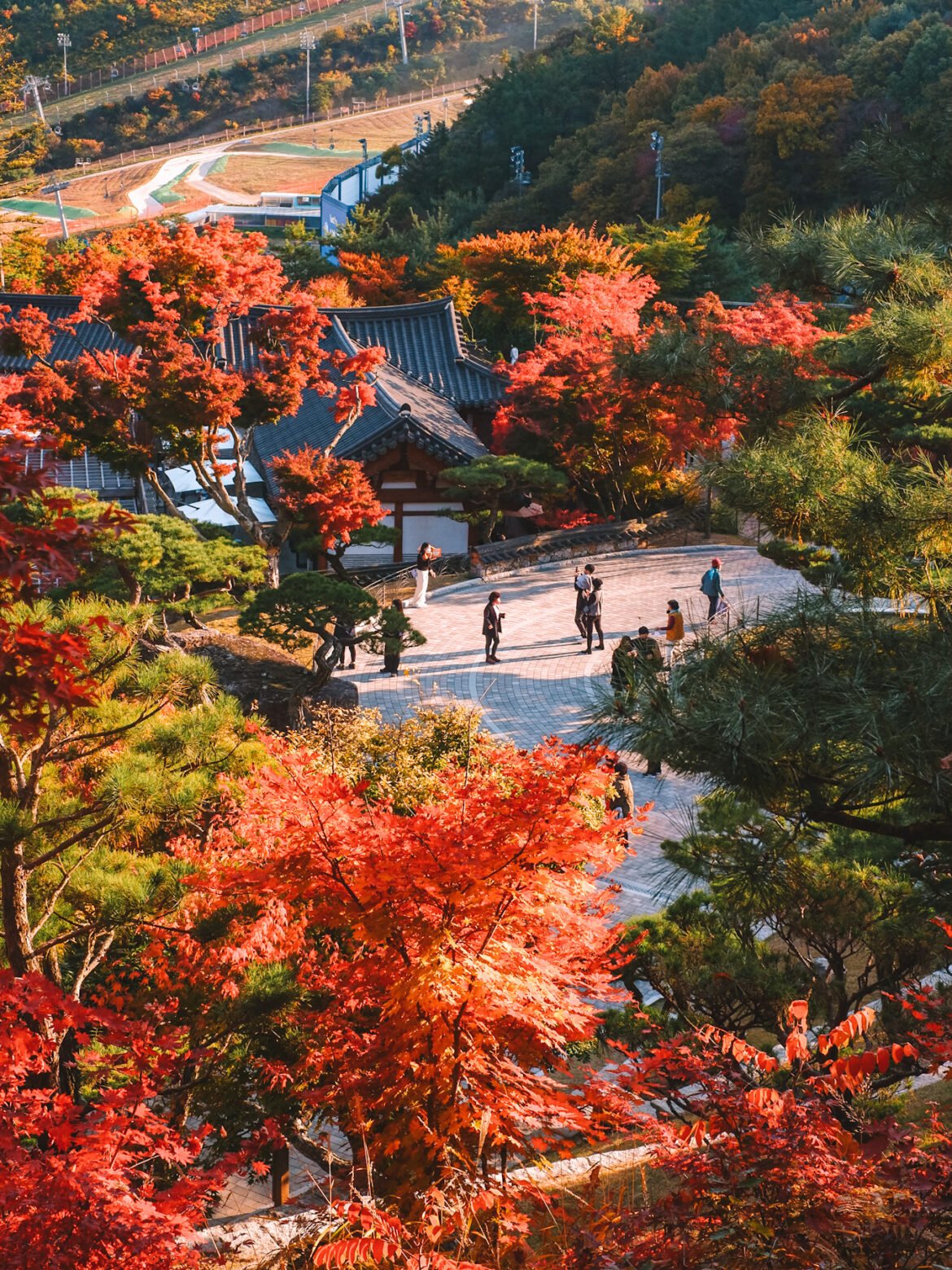 Ultimate Guide to Visiting Hwadam Botanic Garden During Autumn