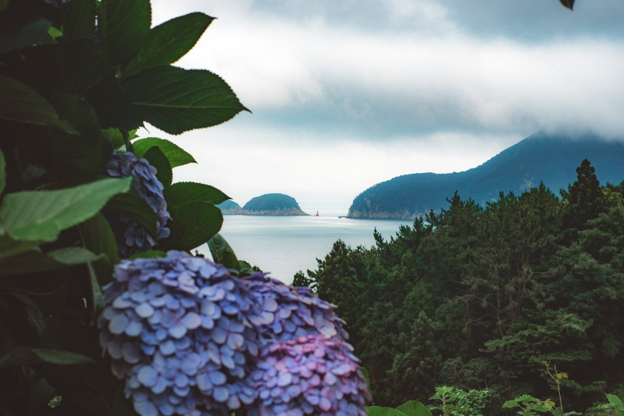 Unforgettable Moments on Geoje Island: A Traveler's Guide to Must-Do ...