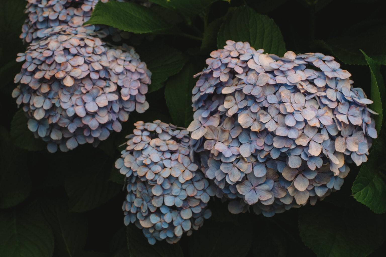 Unforgettable Moments on Geoje Island: A Traveler's Guide to Must-Do Activities