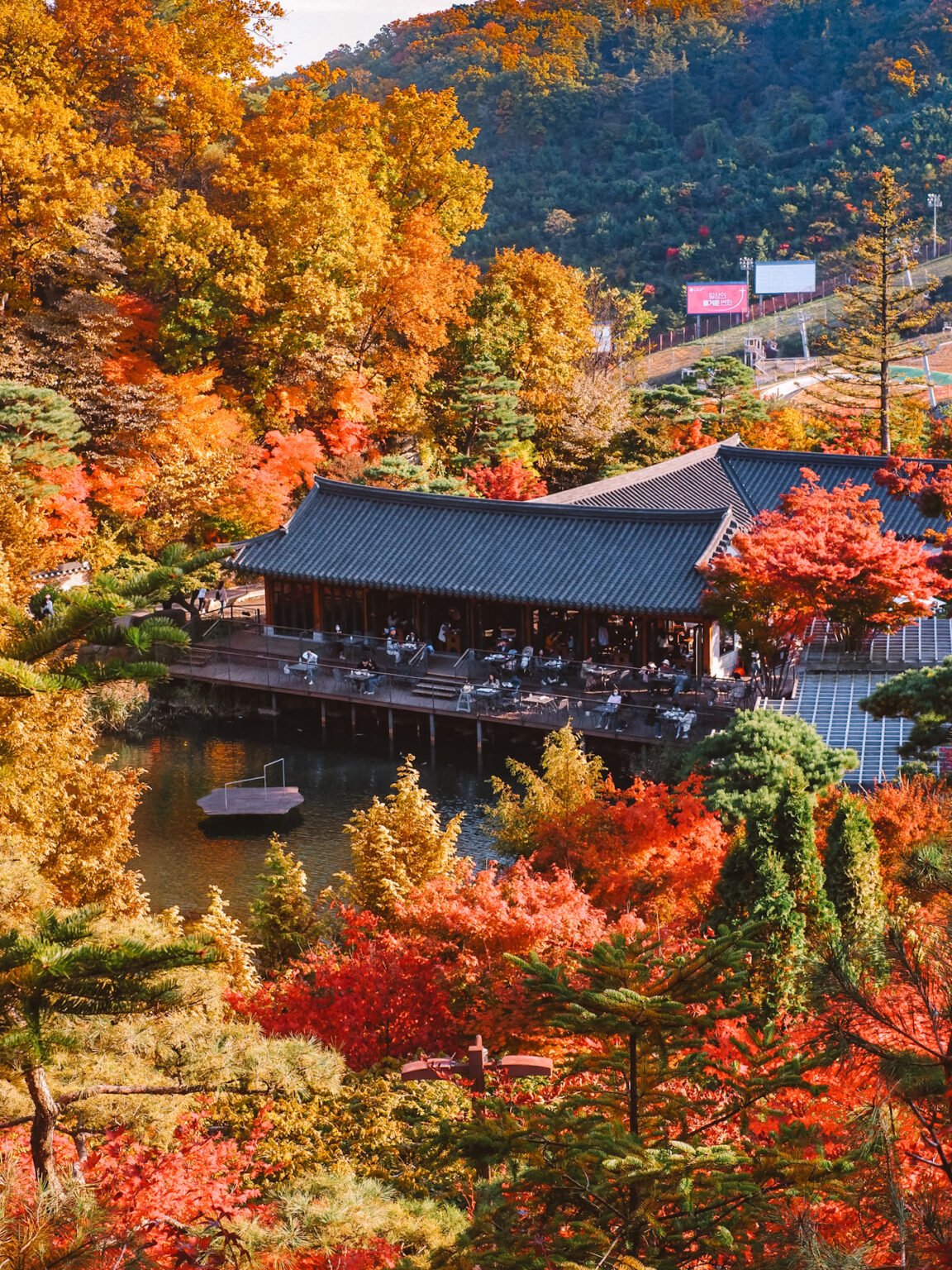 Visiting Seoul in November: Your Comprehensive Guide to Special Events