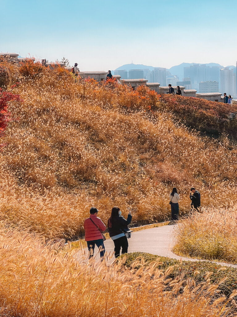 Visiting Seoul in November: Your Comprehensive Guide to Special Events
