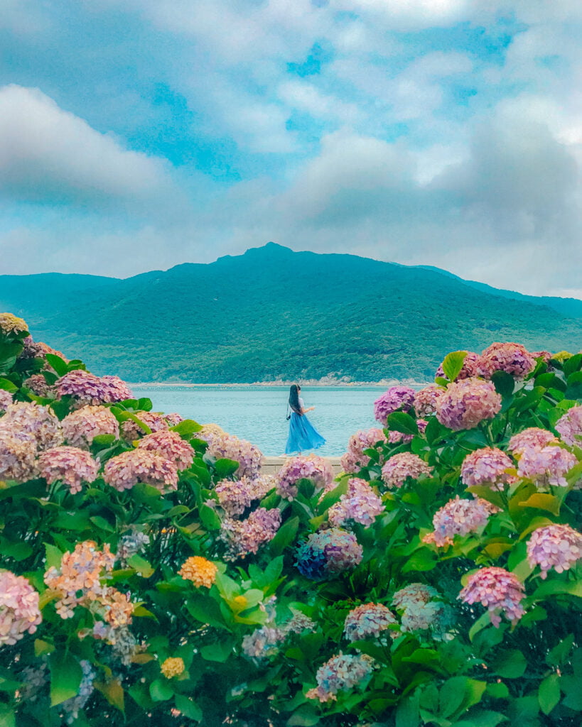 Unforgettable Moments on Geoje Island: A Traveler's Guide to Must-Do ...