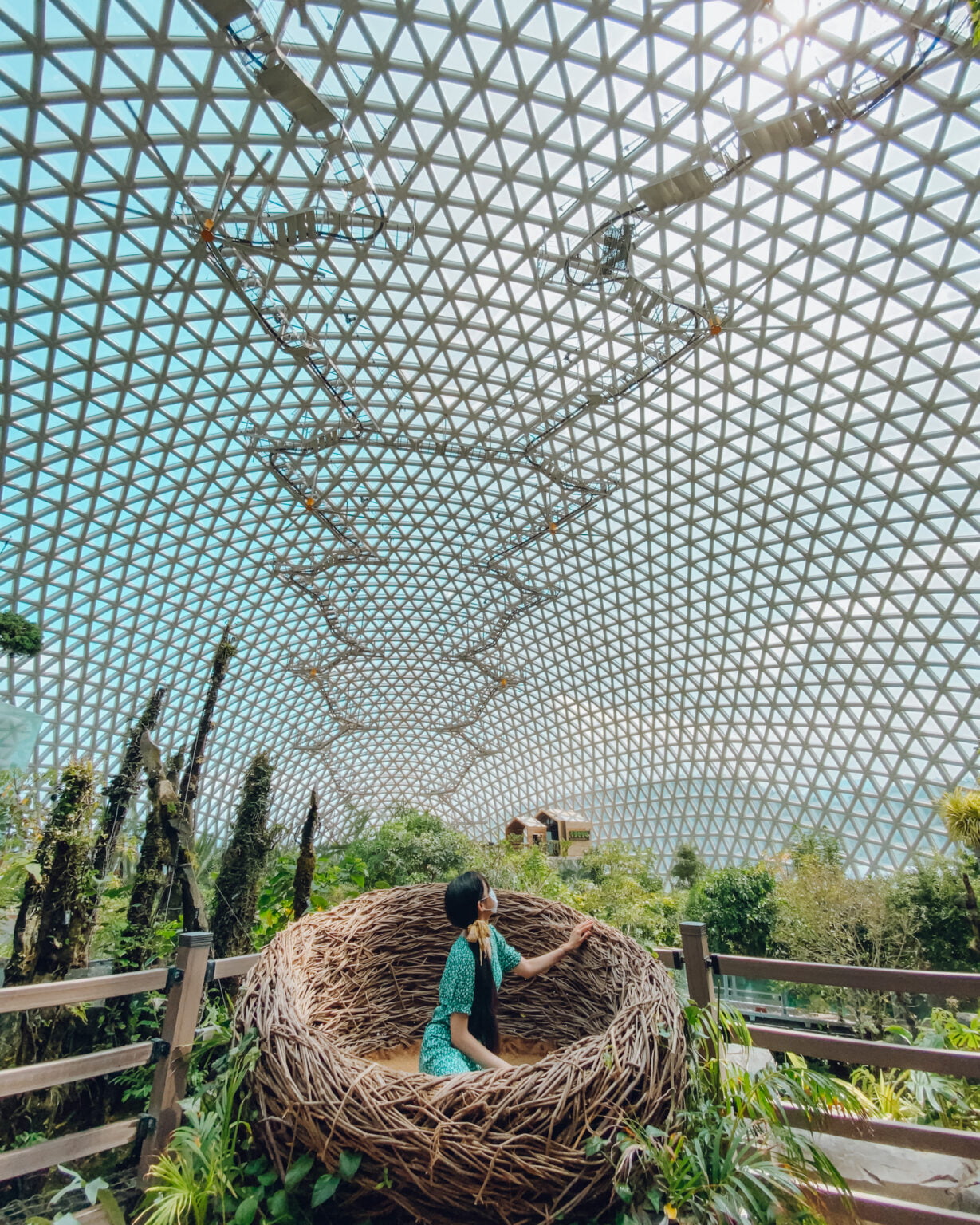 Unforgettable Moments on Geoje Island: A Traveler's Guide to Must-Do ...