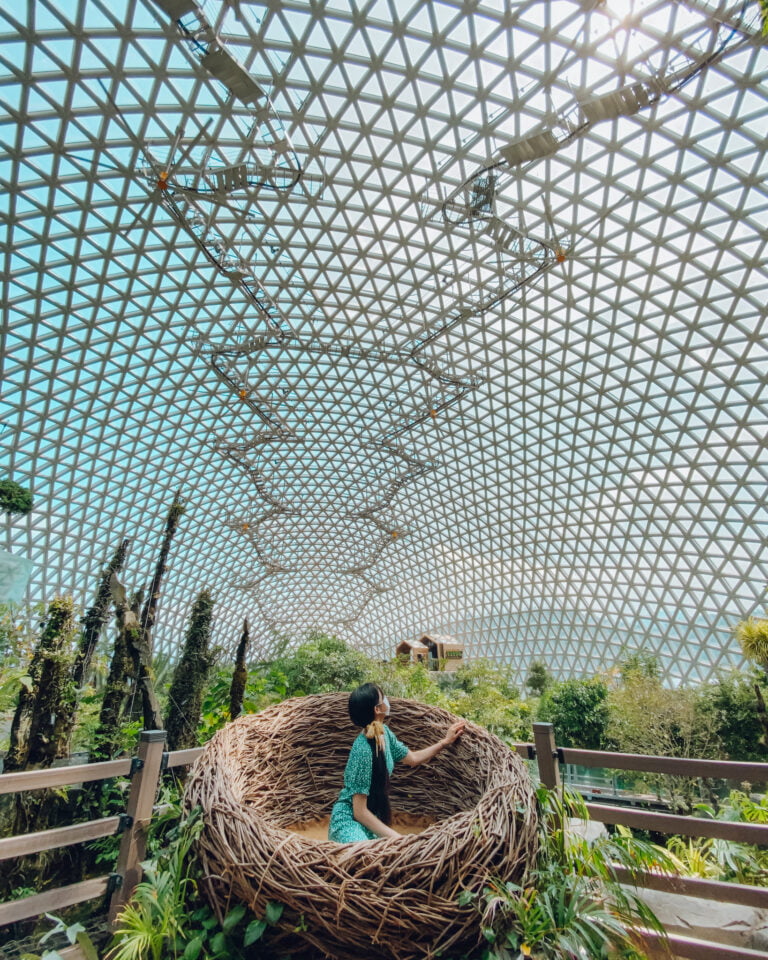 Unforgettable Moments on Geoje Island: A Traveler's Guide to Must-Do ...