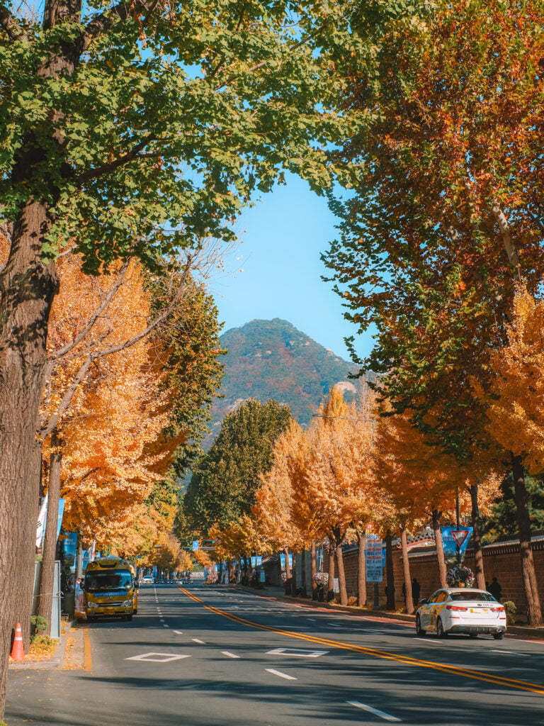 A Walk Along Hyoja Street: One of Seoul's Most Beautiful Paths for ...
