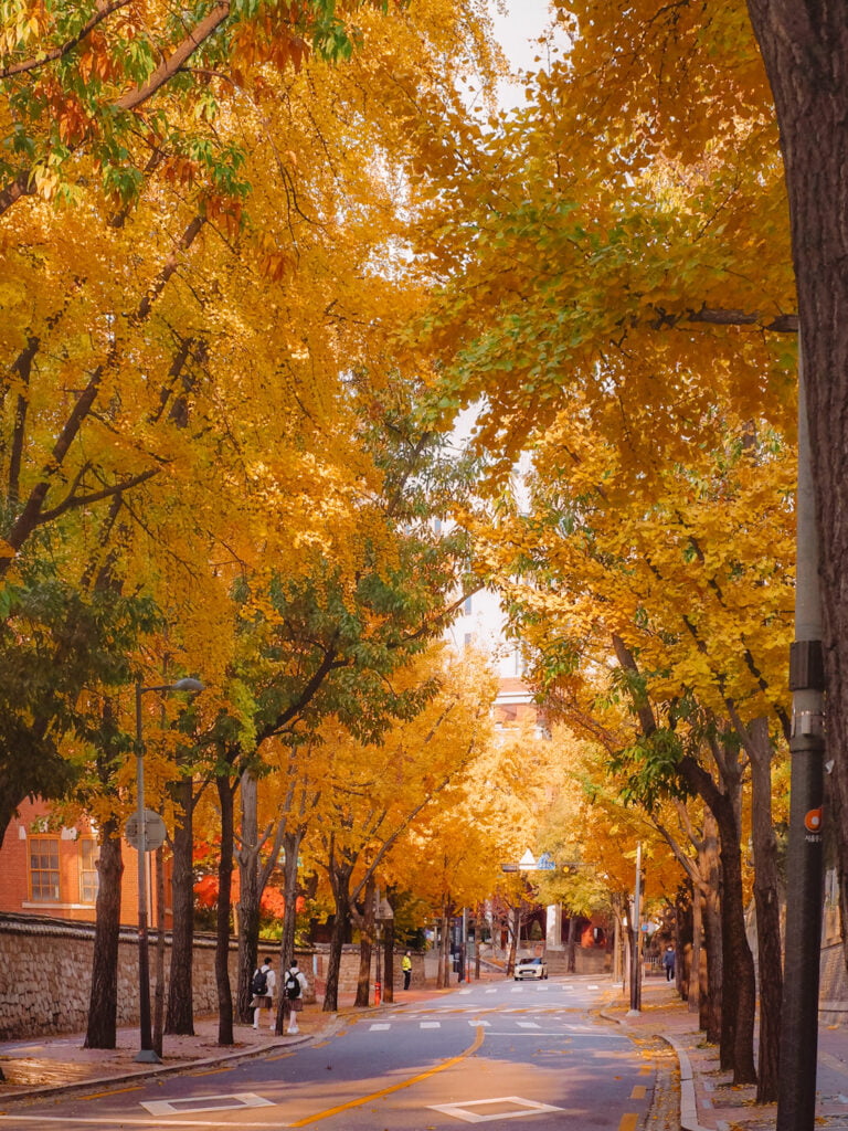 14 BEST SPOTS TO SEE AUTUMN FOLIAGE IN AND AROUND SEOUL + MAP
