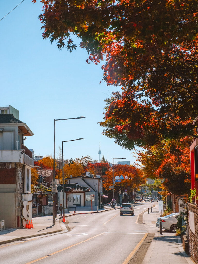 Samcheongdong-gil: A Must-Visit Destination for Autumn Foliage Enthusiasts