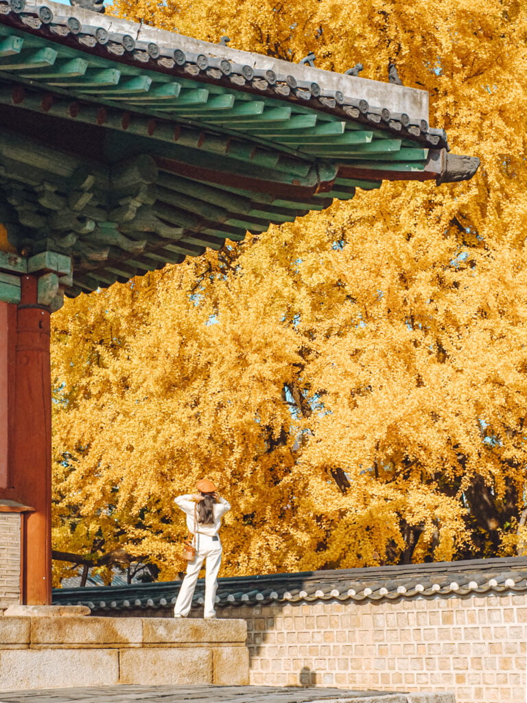 14 BEST SPOTS TO SEE AUTUMN FOLIAGE IN AND AROUND SEOUL + MAP