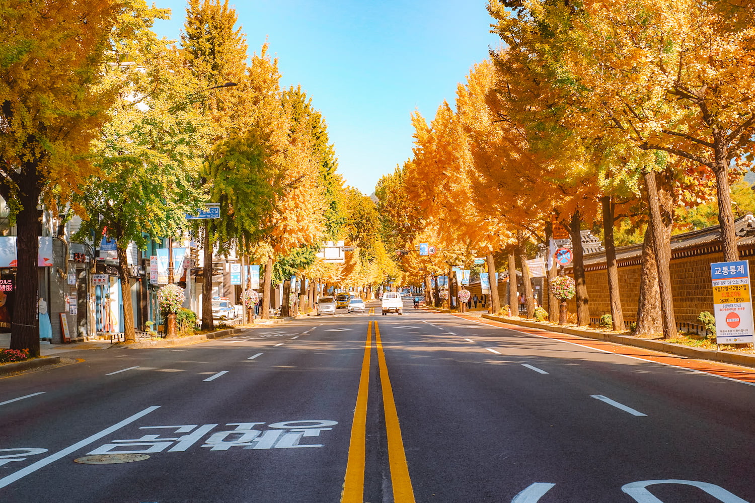 A Walk Along Hyoja Street: One of Seoul's Most Beautiful Paths for ...