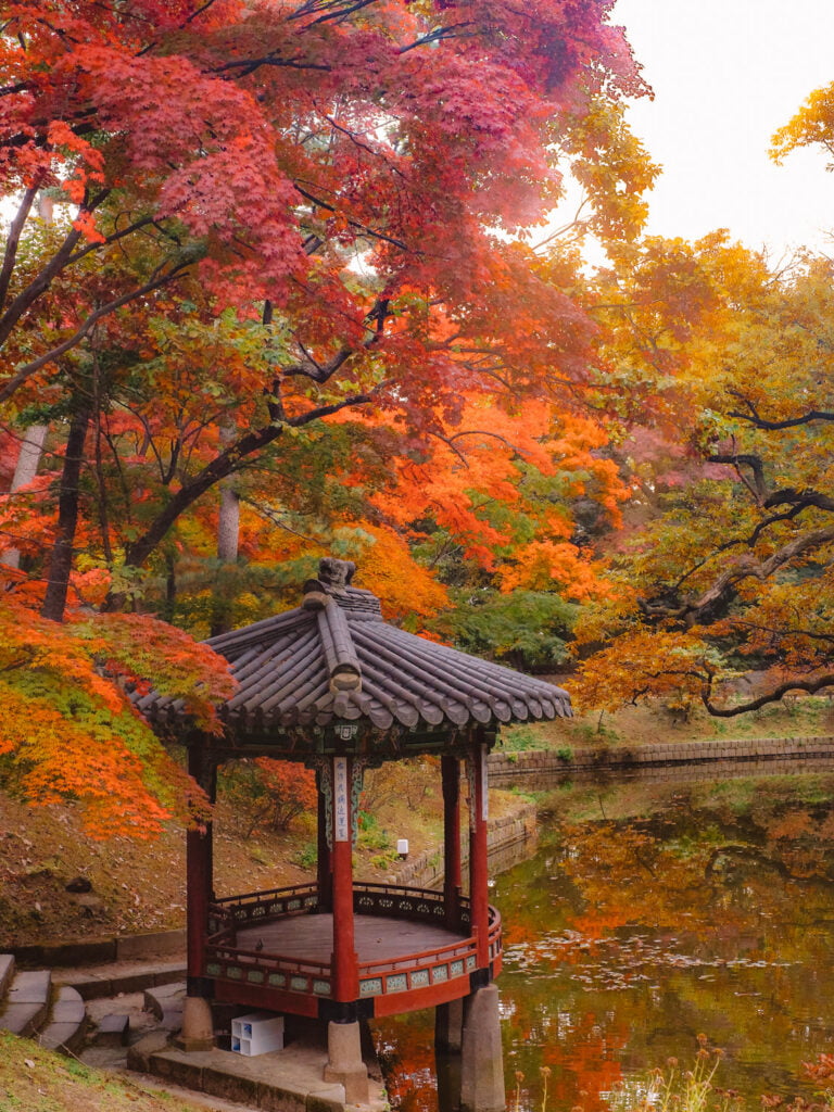 Visiting Seoul in November: Your Comprehensive Guide to Special Events