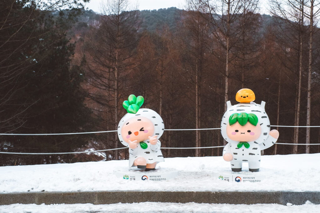 Inje Birch Forest: A Winter Paradise Unveiled