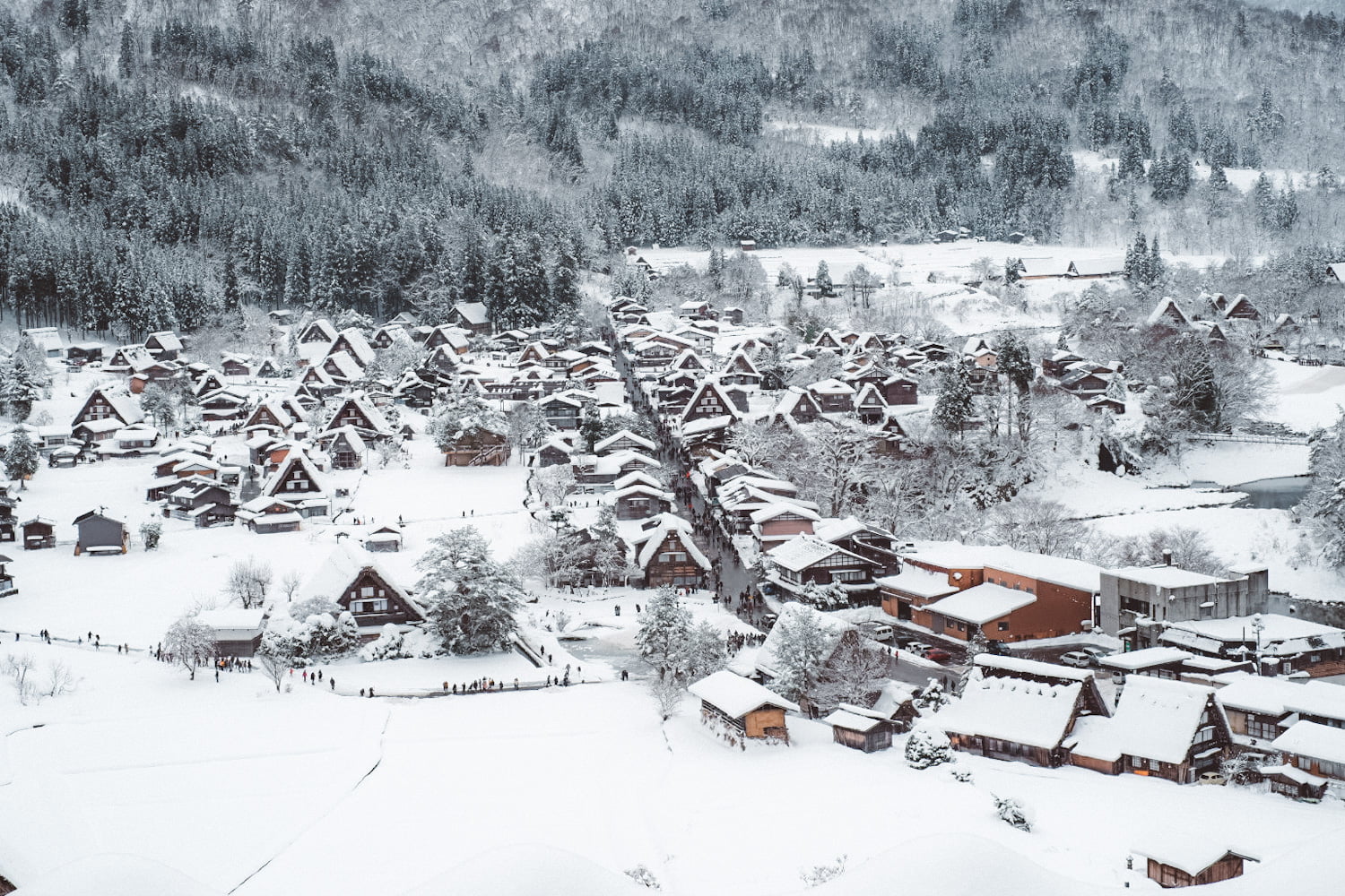 An Ultimate Guide to Visiting Shirakawa-go During New Year