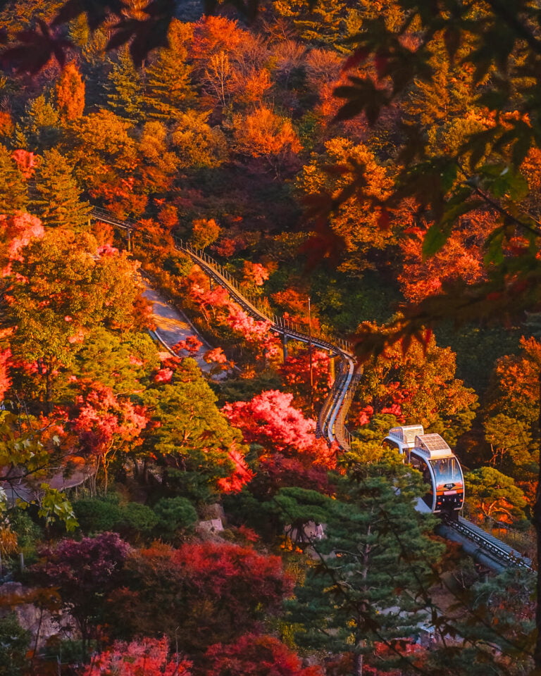 Visiting Seoul in October: A Comprehensive Guide to Special Events