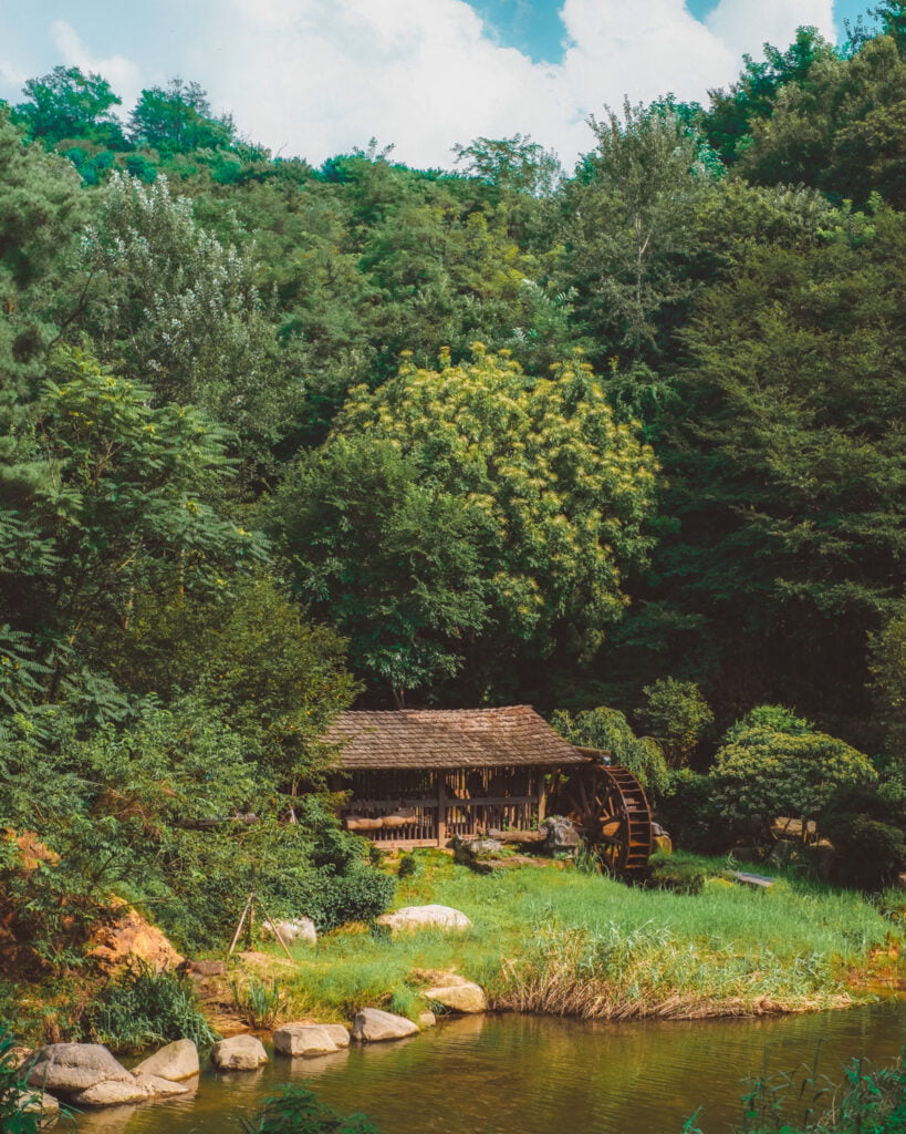 Cafe Pokpo: A Refreshing Getaway in Seoul's Concrete Jungle