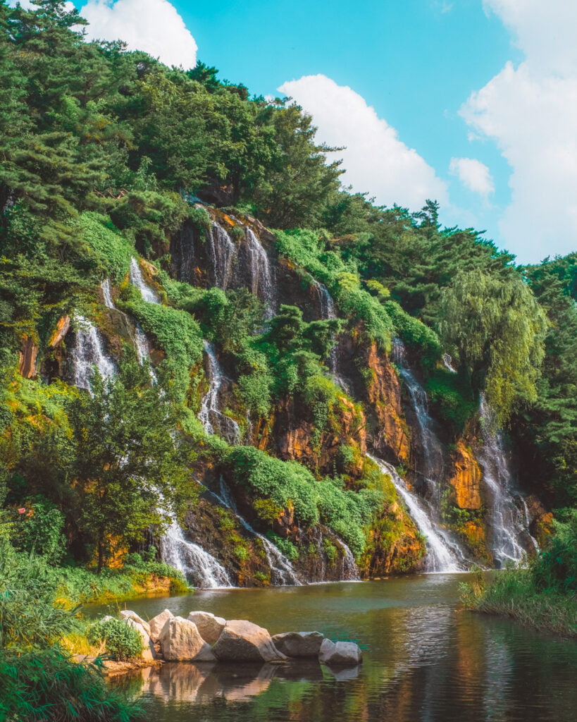 Cafe Pokpo: A Refreshing Getaway in Seoul's Concrete Jungle