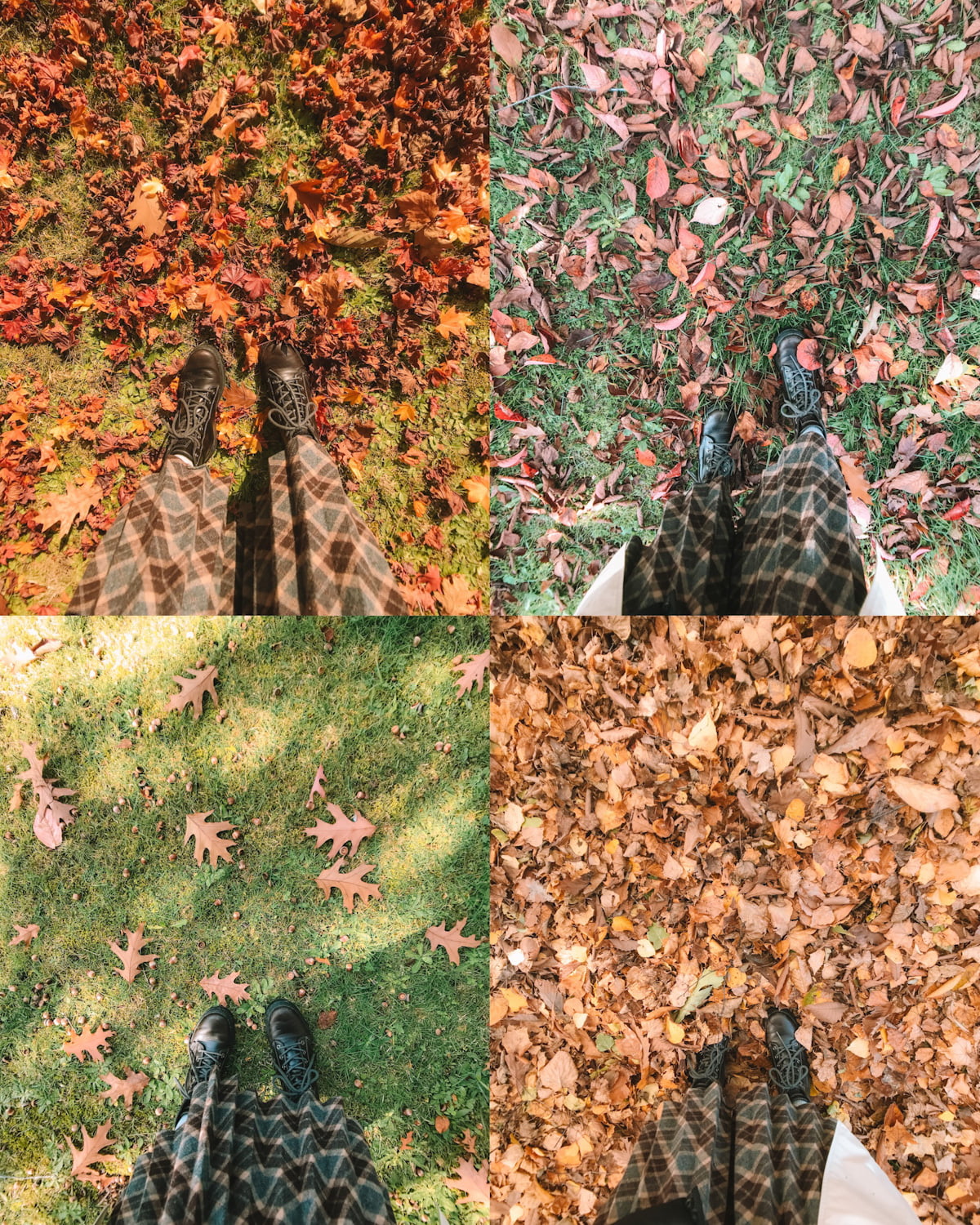 Furano Travel Guide: Visiting Asahigaoka Park in Autumn