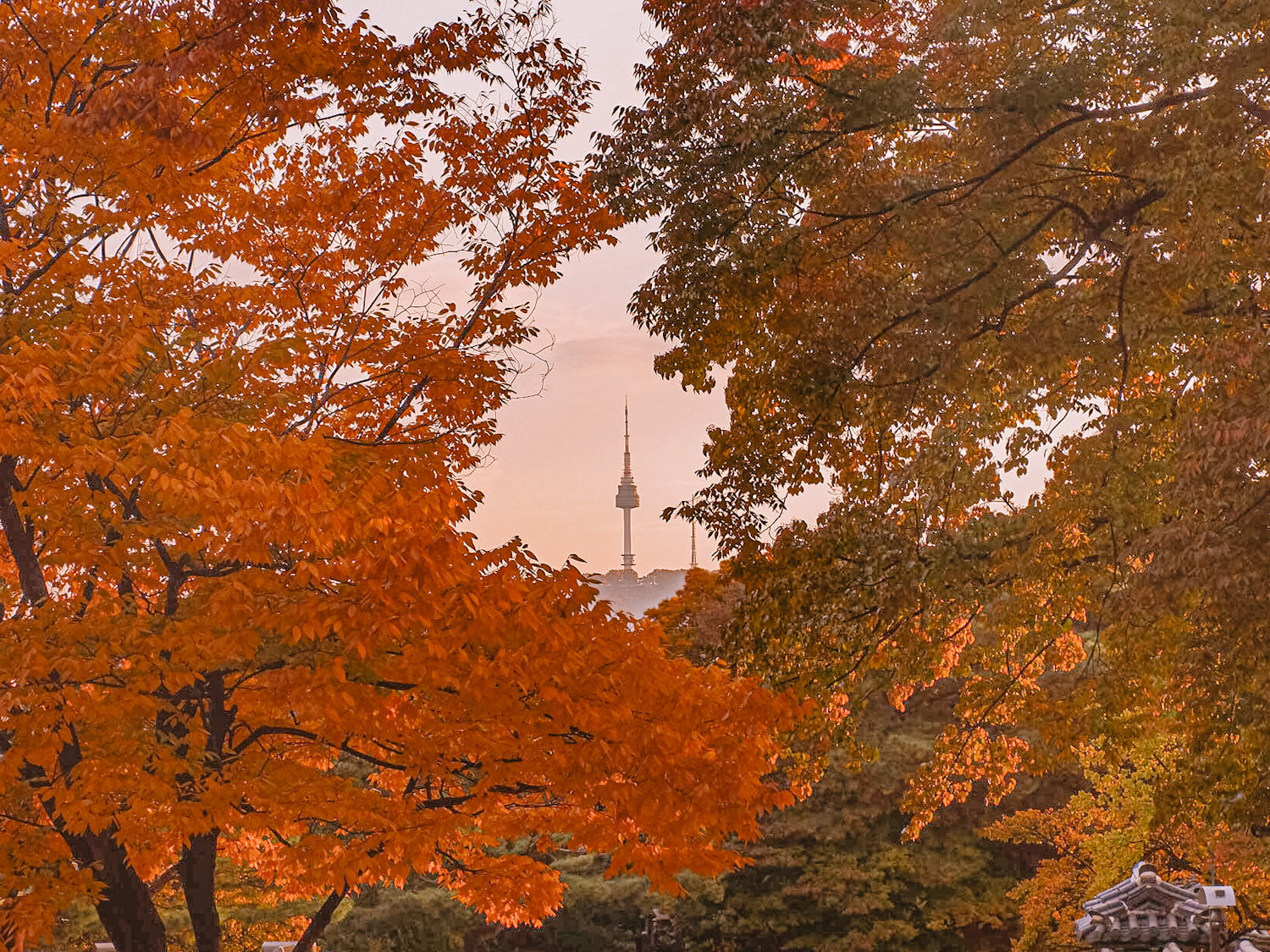 Fall In Korea Weather