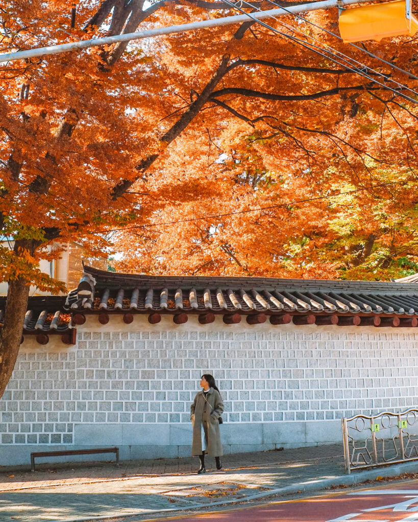 Visiting Seoul in November: Your Comprehensive Guide to Special Events