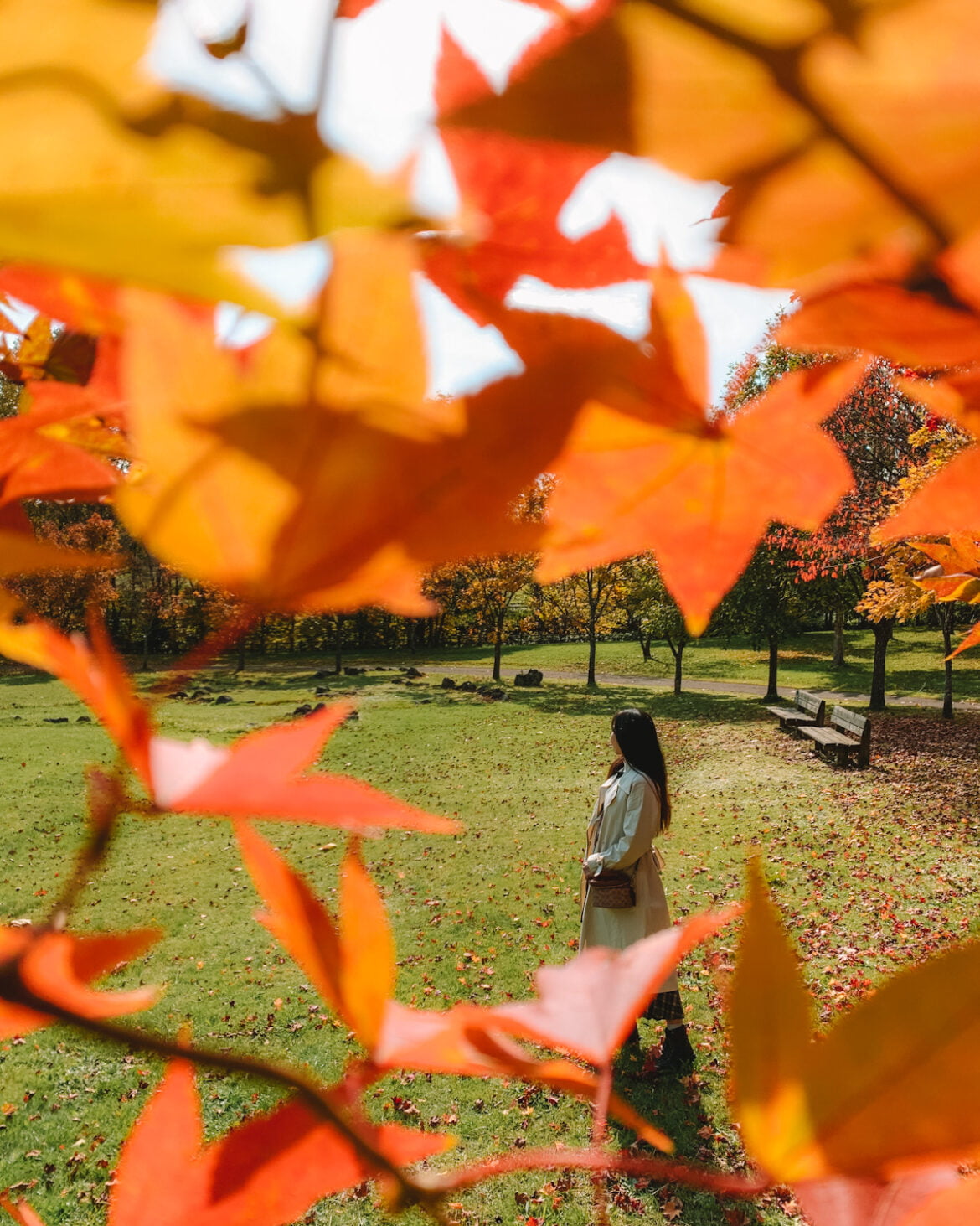 Furano Travel Guide: Visiting Asahigaoka Park in Autumn