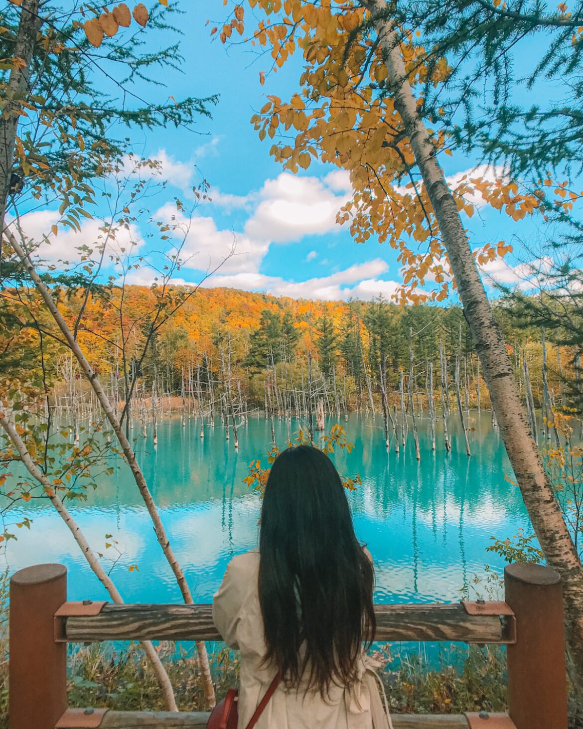 Captivating Shirogane Blue Pond in October: A Guide to This Scenic Wonder