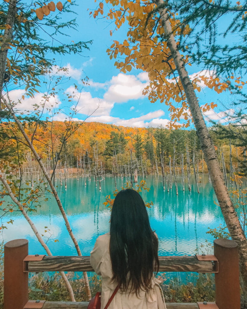 Captivating Shirogane Blue Pond in October: A Guide to This Scenic Wonder