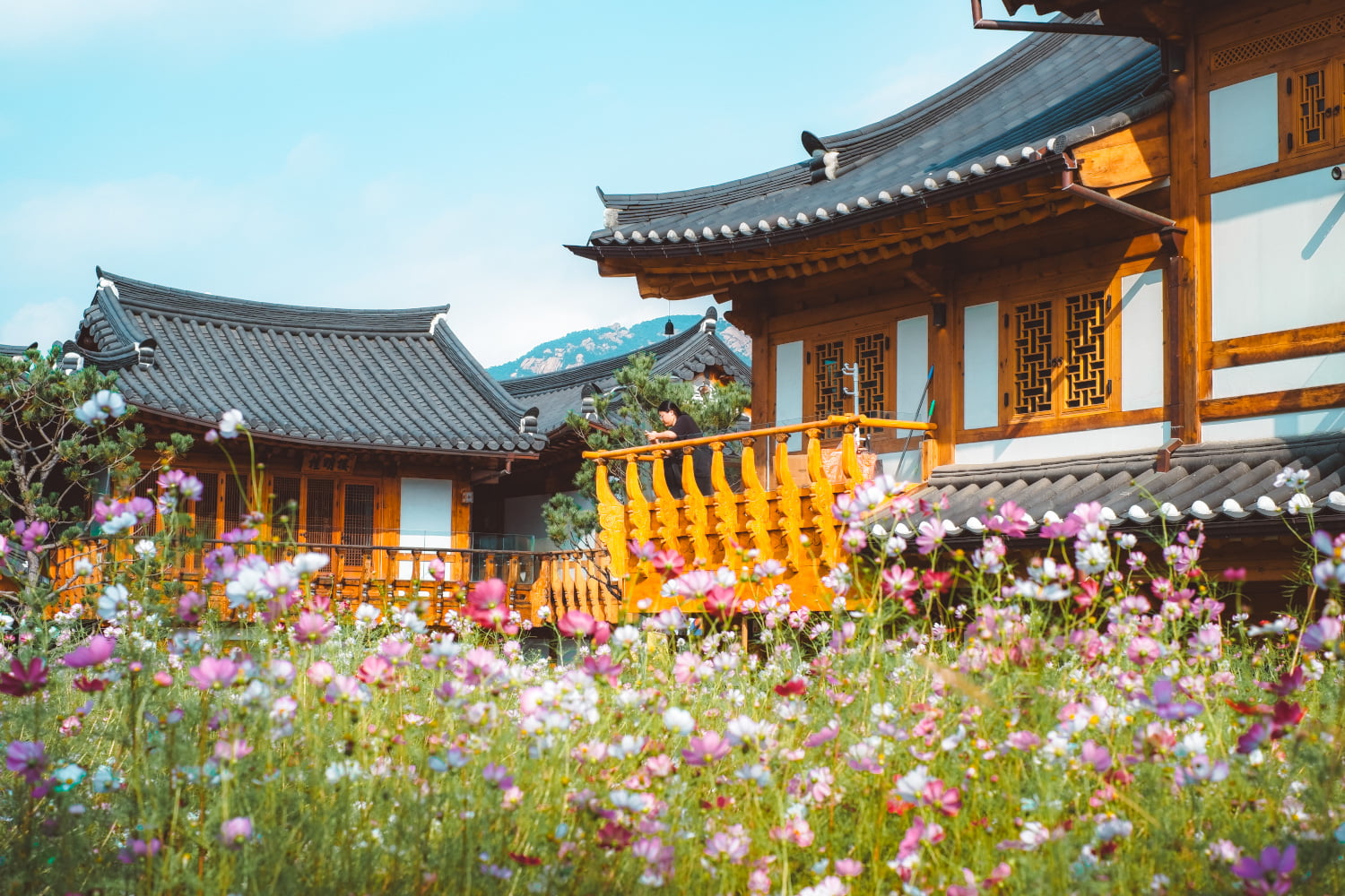 Cafe Space Helena: A Scenic Escape in Seoul's Hanok Village