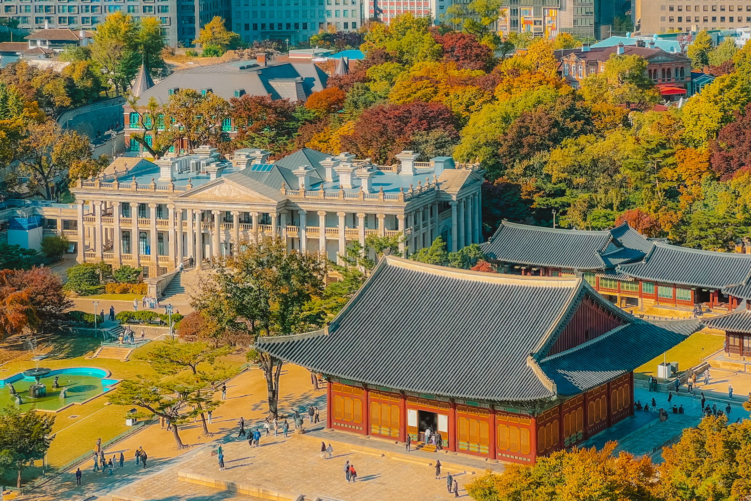 Seoul's Jewel: Jeongdong Observatory and Cafe Darak Uncovered