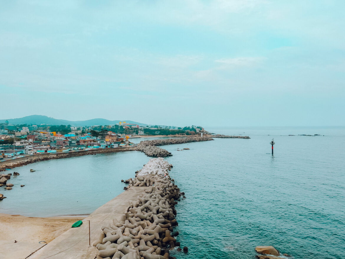 Greetvi Coffee: Where Architecture Meets Ocean Views in Ulsan
