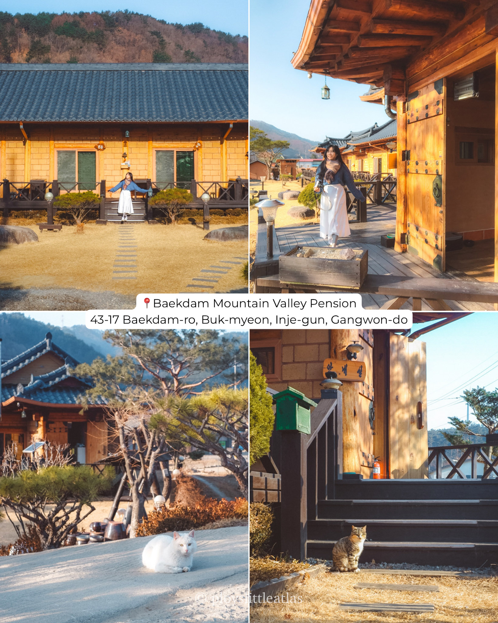 Must-Visit Spots in Inje for The Ultimate Winter Trip