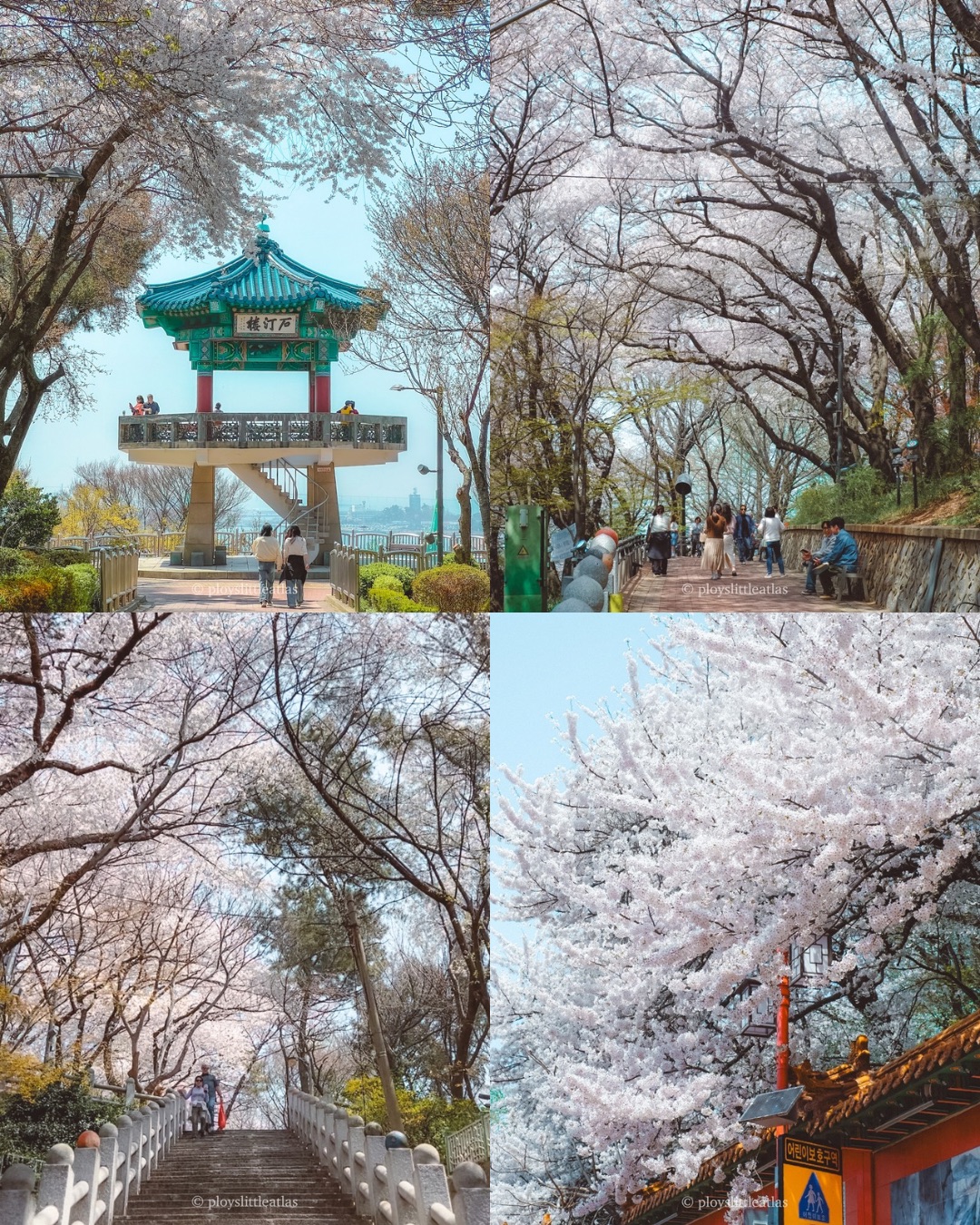 Beyond the Seoul Peak: A Late Spring Escape to Incheon Chinatown